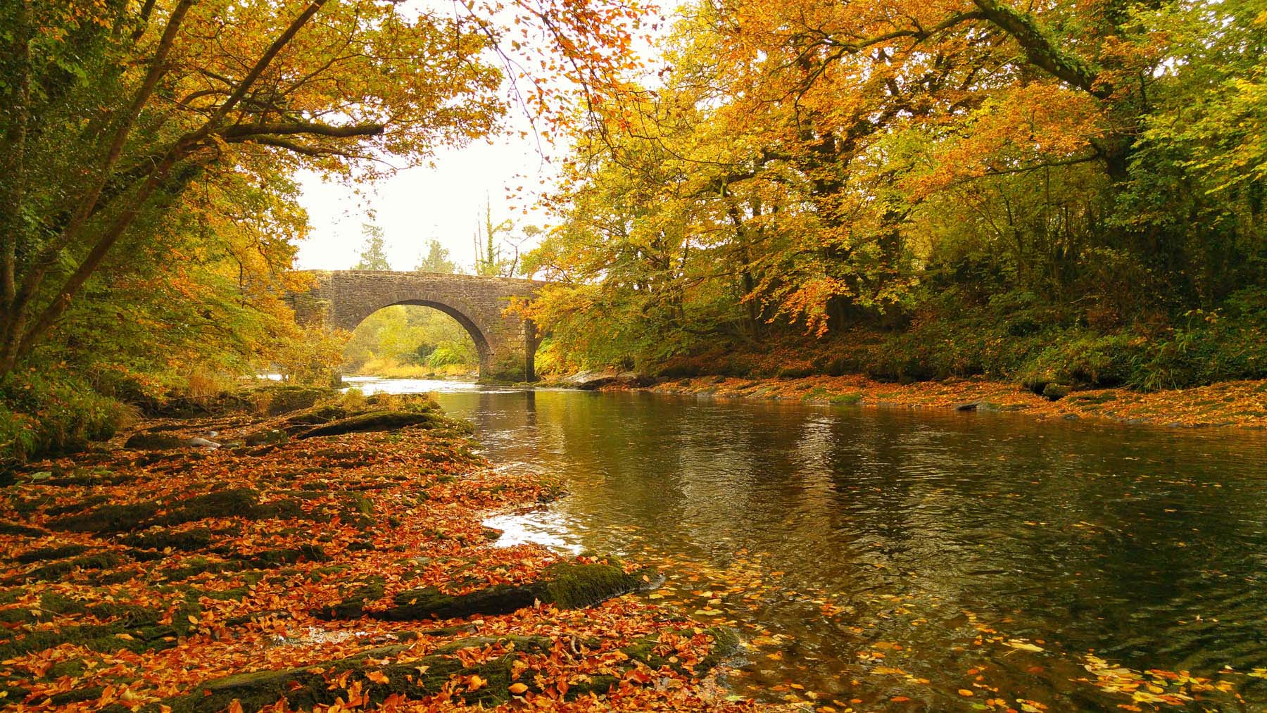 Six ways to look after your local river - Westcountry Rivers Trust