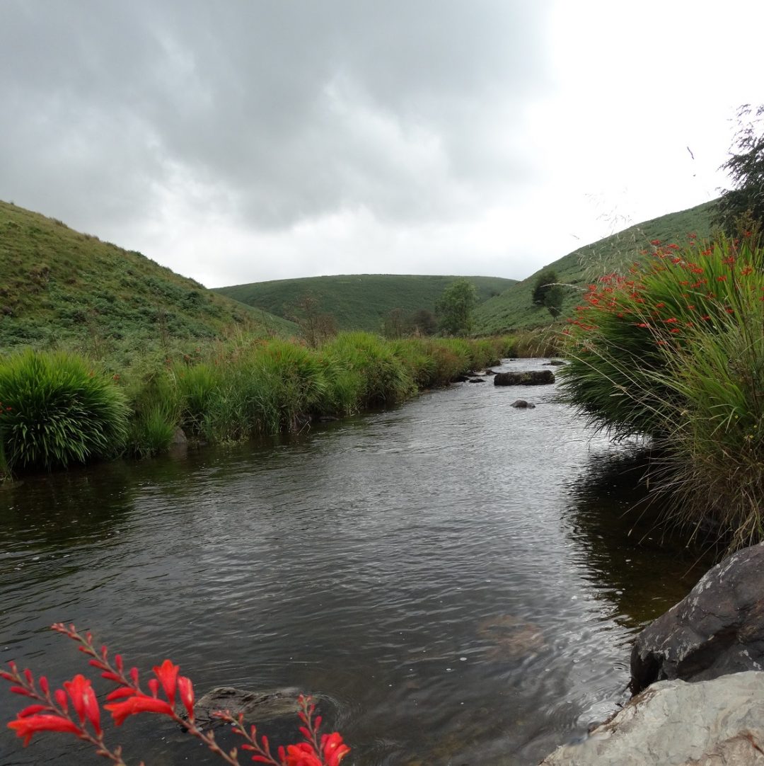 5 Westcountry Hidden Gems - Westcountry Rivers Trust