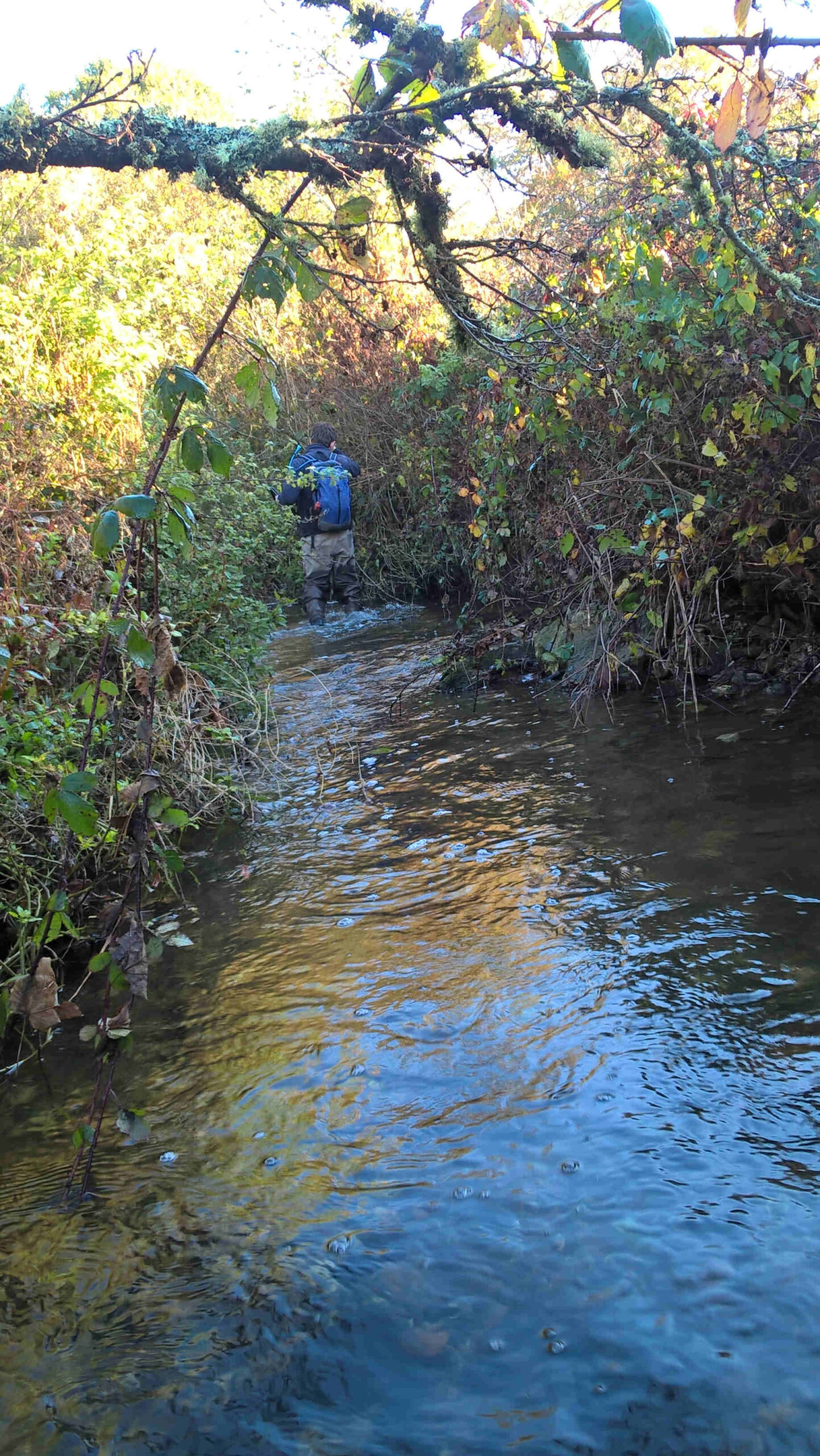 Walkover on the River Gannel - Westcountry Rivers Trust