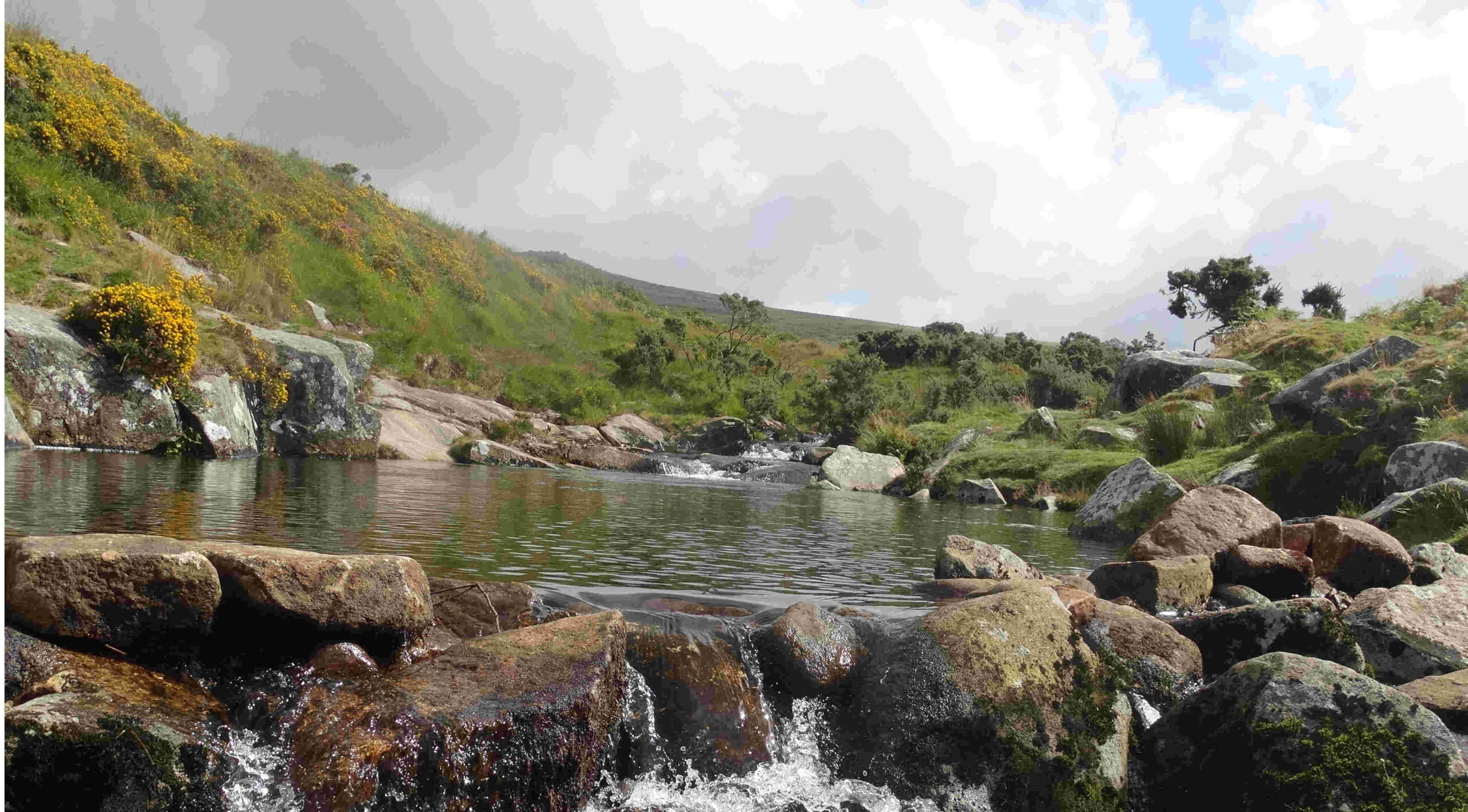 River Teign - Westcountry Rivers Trust