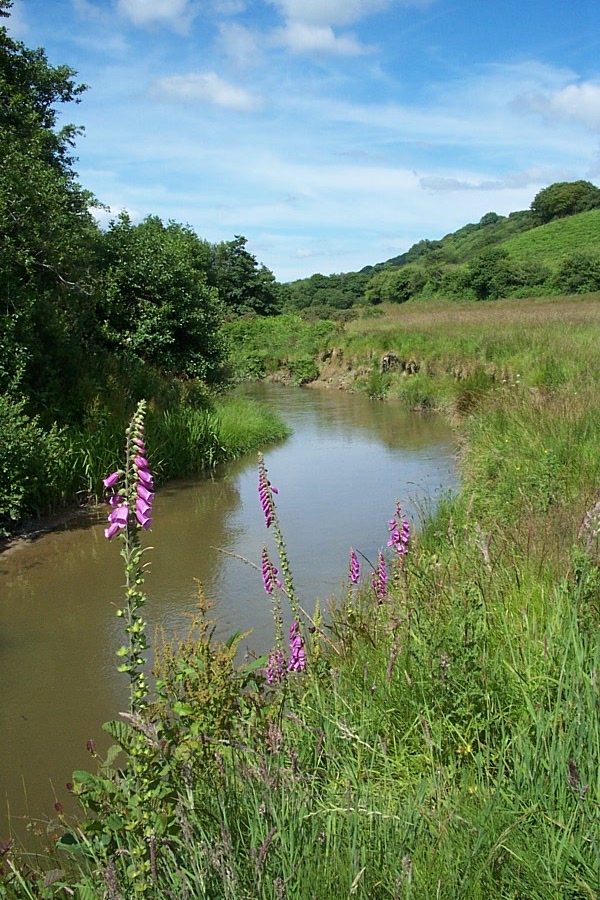 River Teign - Westcountry Rivers Trust