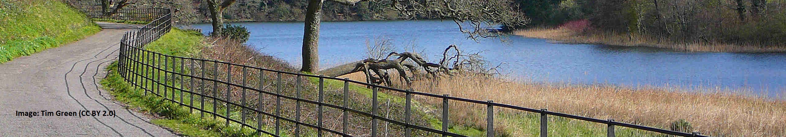 River Camel - Westcountry Rivers Trust