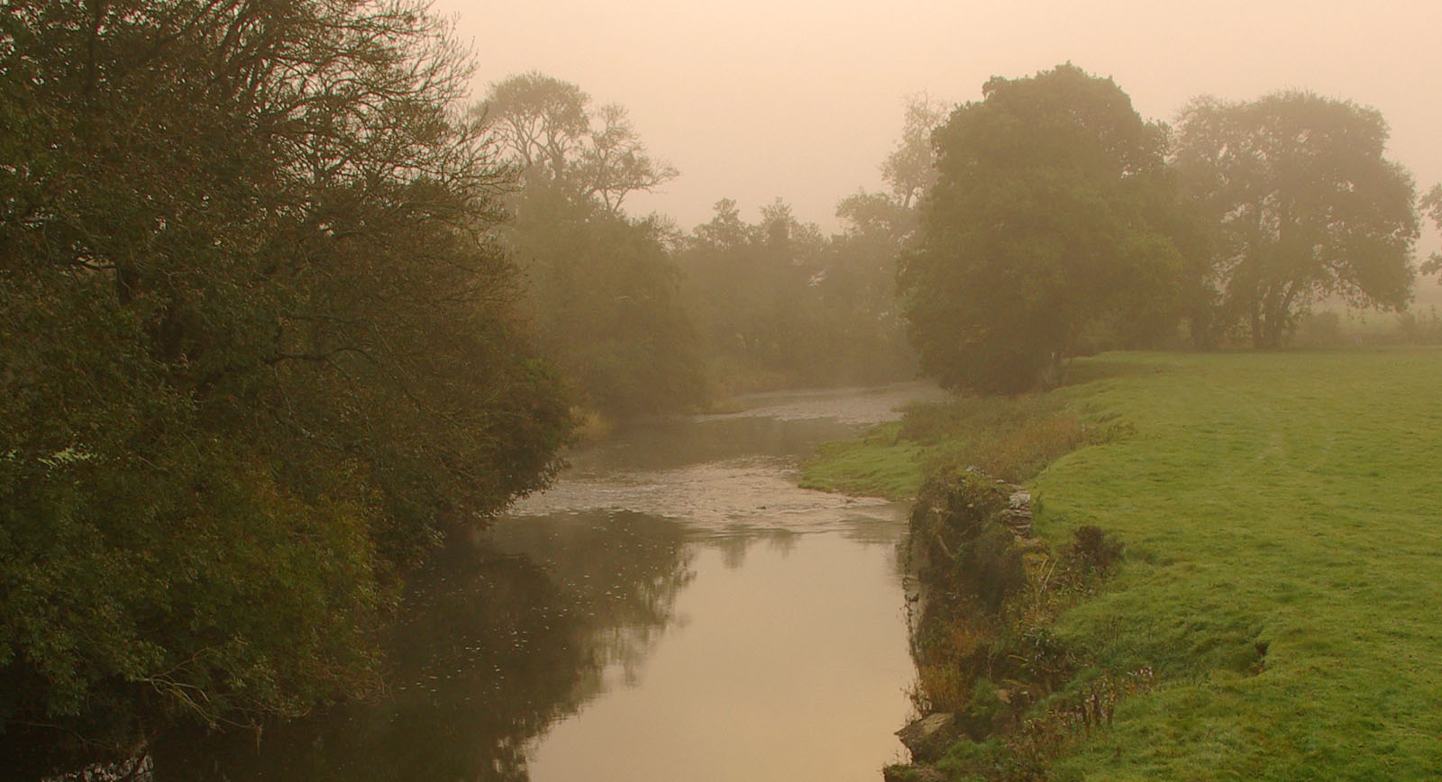 River Tamar - Westcountry Rivers Trust