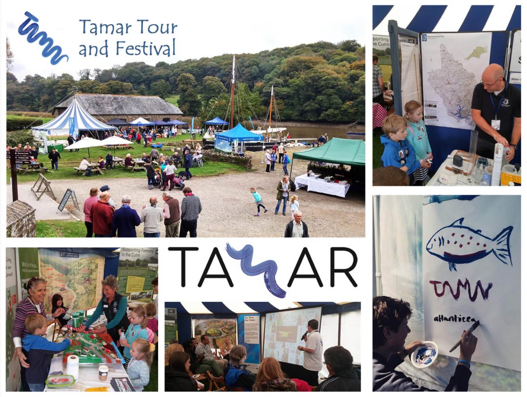 River Tamar - Westcountry Rivers Trust