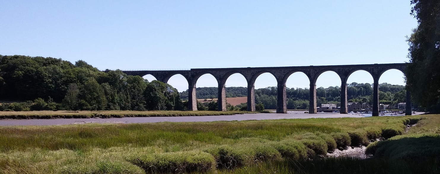 River Tavy - Westcountry Rivers Trust