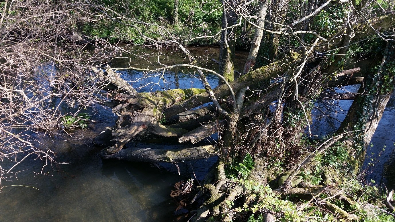 Garramarsh needs you! - Westcountry Rivers Trust