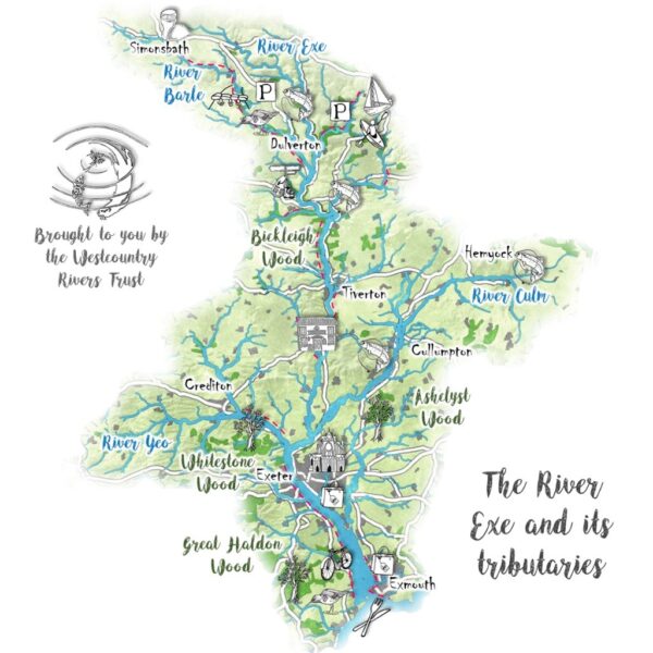 Walking the River Exe: A new river story series - Westcountry Rivers Trust