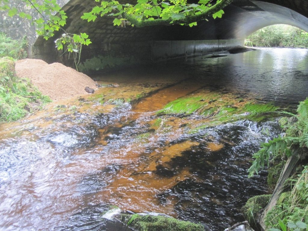 Water for Growth: Barriers to Migration - Westcountry Rivers Trust