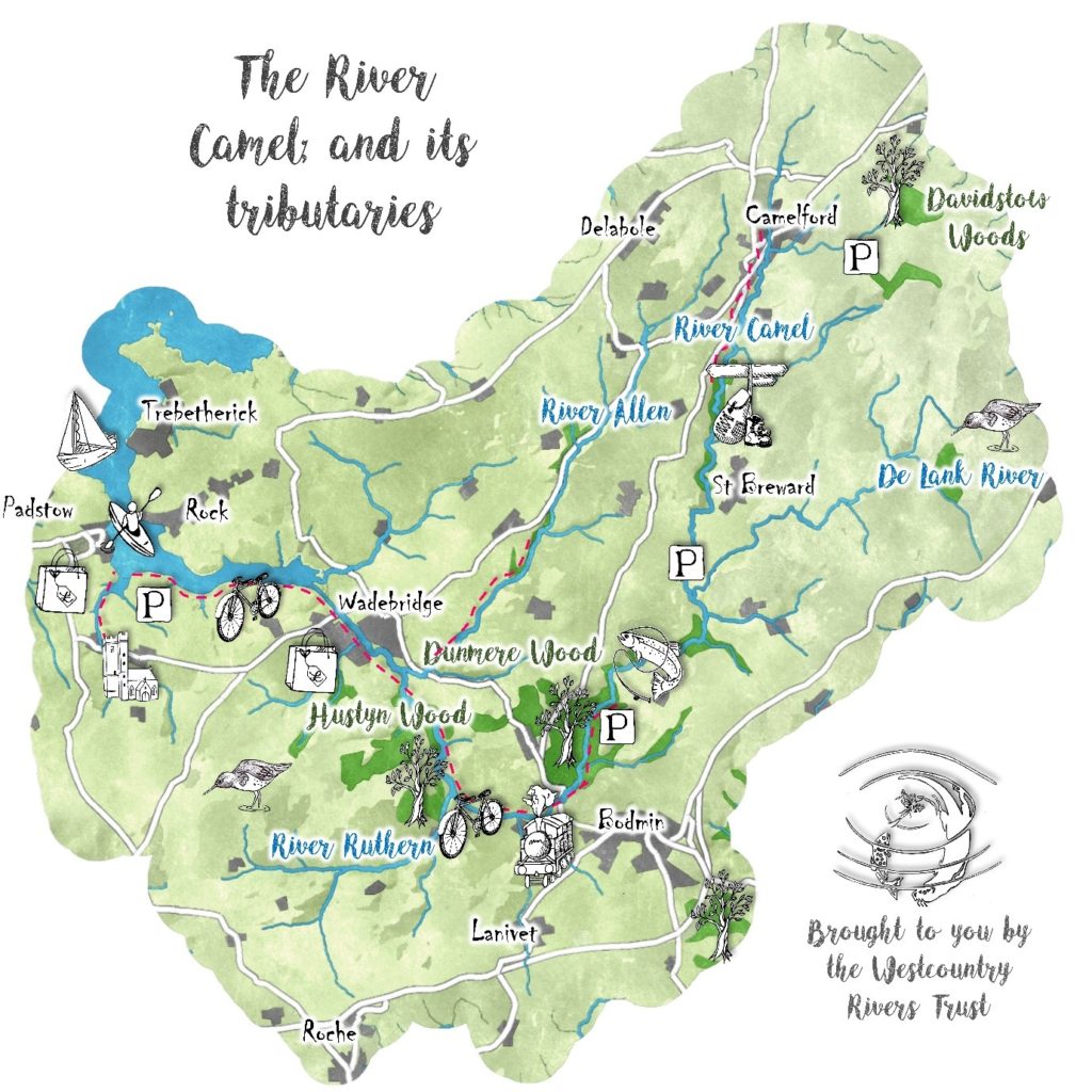 Water For Growth: Habitat Work - Westcountry Rivers Trust