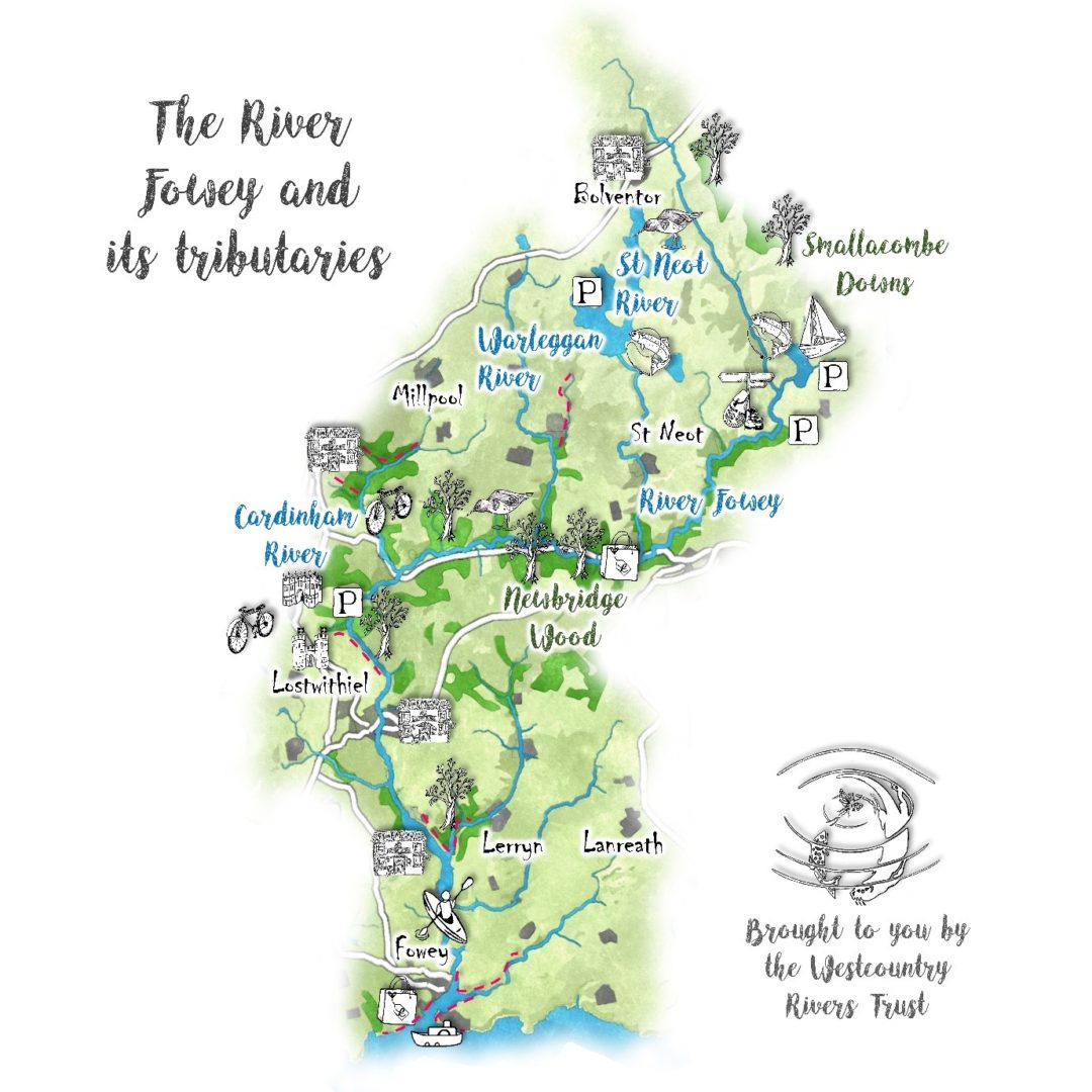 Water For Growth: Habitat Work - Westcountry Rivers Trust