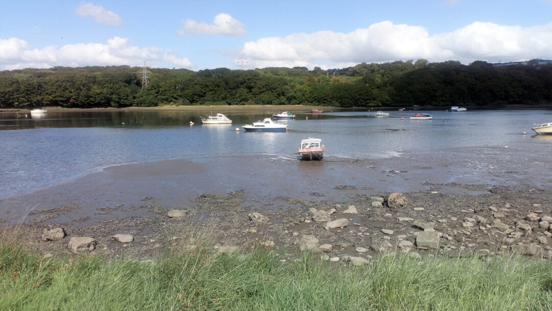 Plymouth River Keepers - Westcountry Rivers Trust