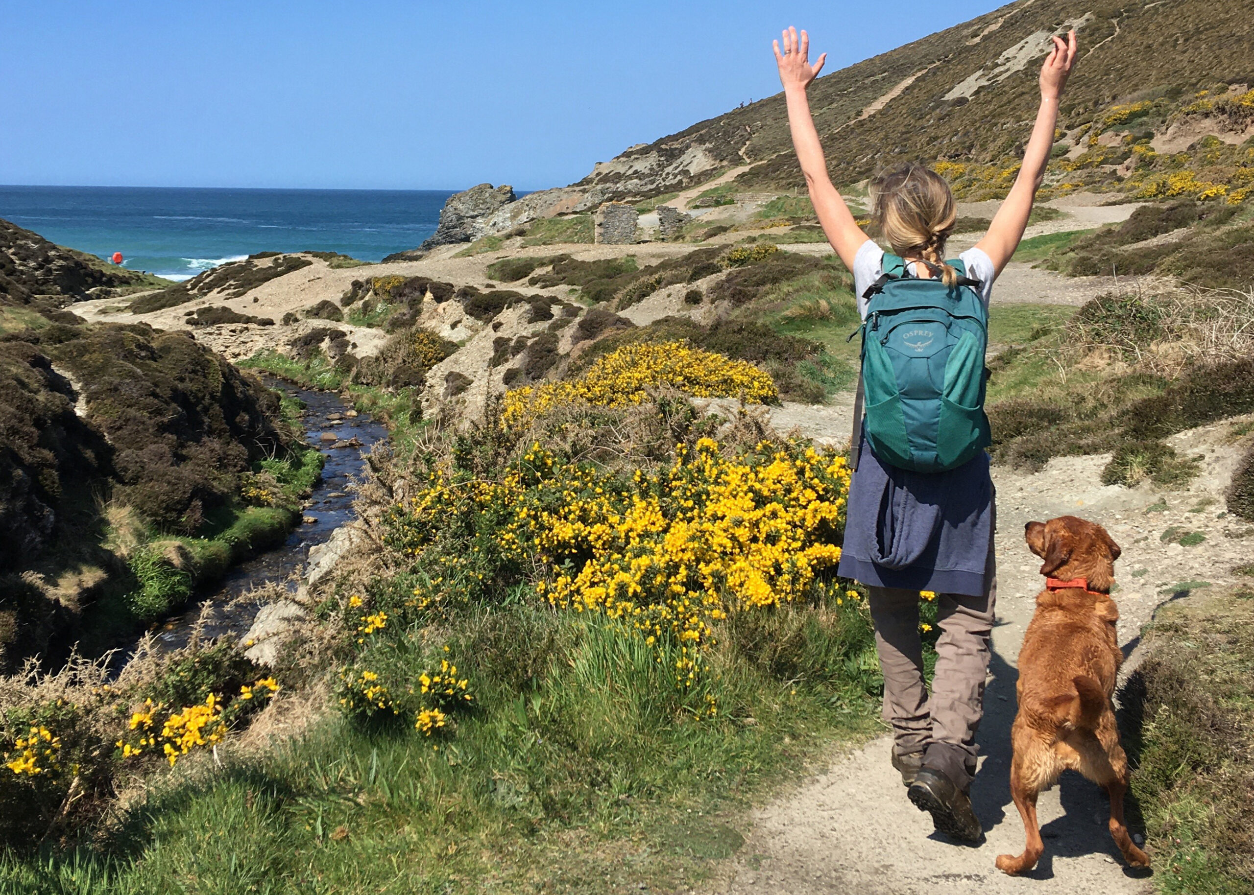Cornwall charms our Upstream Thinking 3 "Devonshire dumpling ...