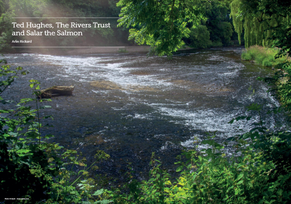 The Westcountry Rivers Trust Story - Westcountry Rivers Trust