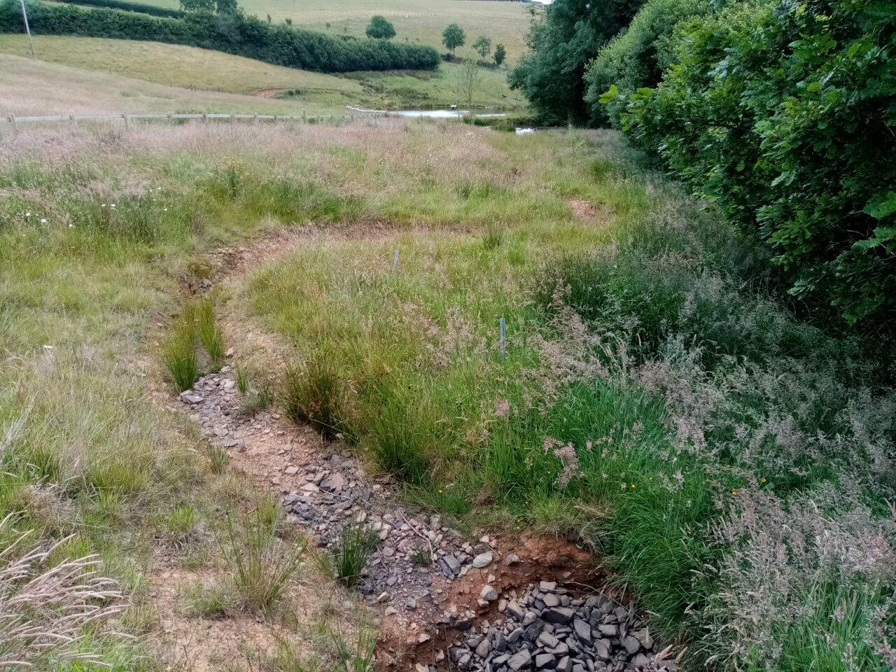 Upstream Thinking - Westcountry Rivers Trust