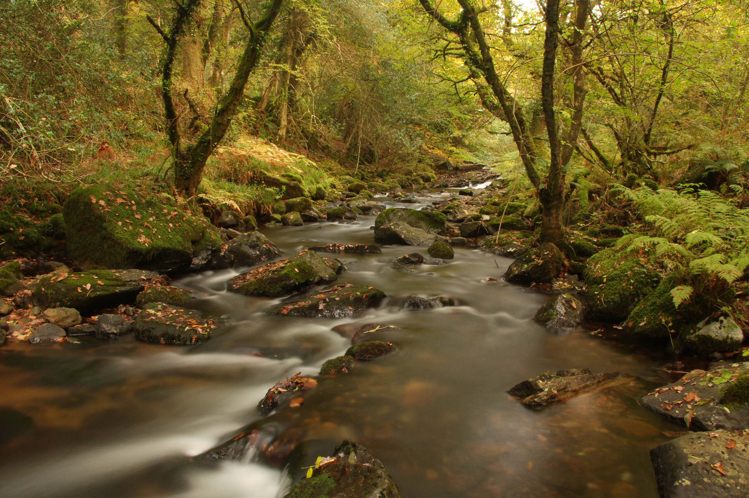 Rapid Response Catchments - Westcountry Rivers Trust