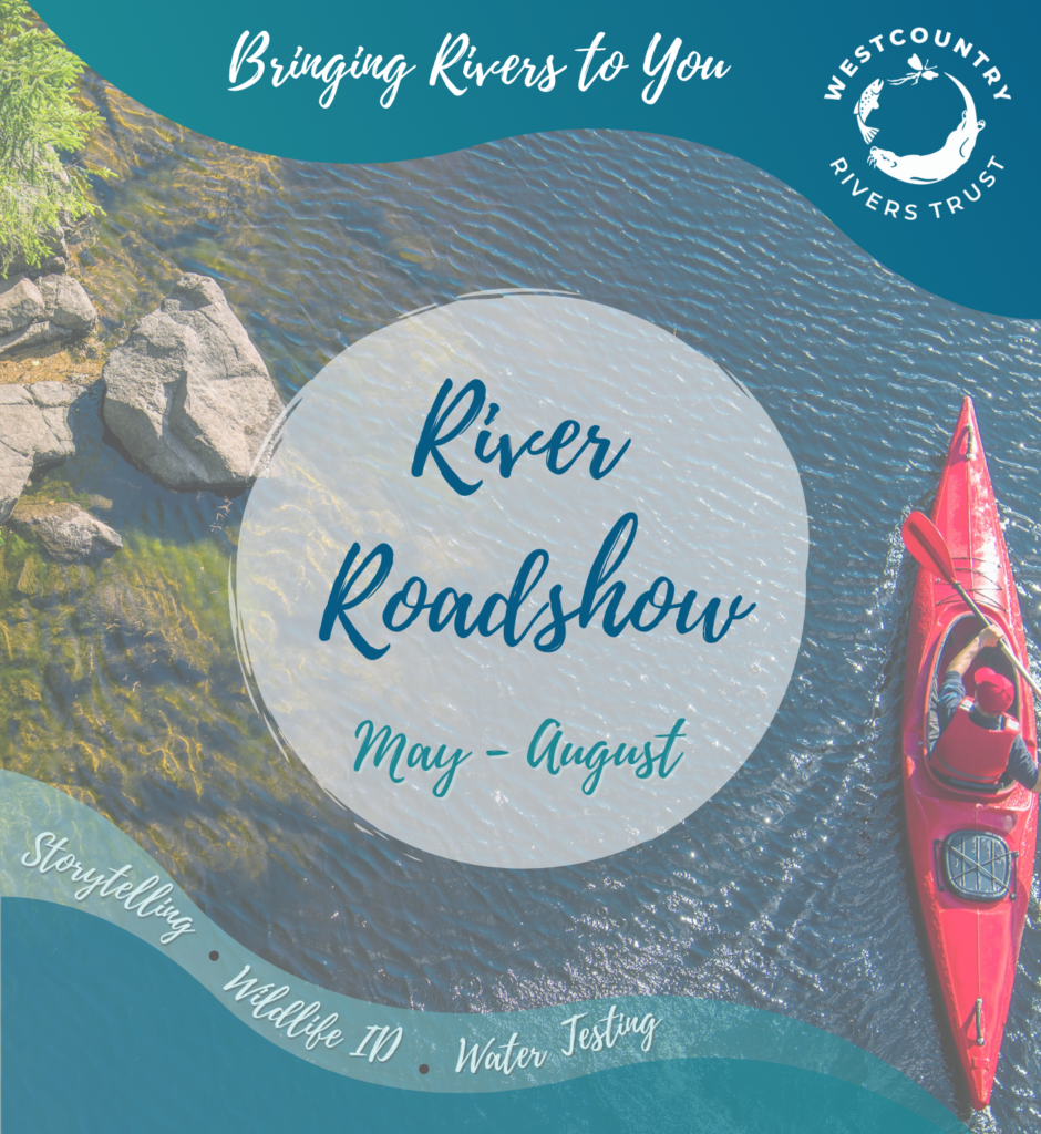 River Roadshow @ Truro Big Summer Market - Westcountry Rivers Trust