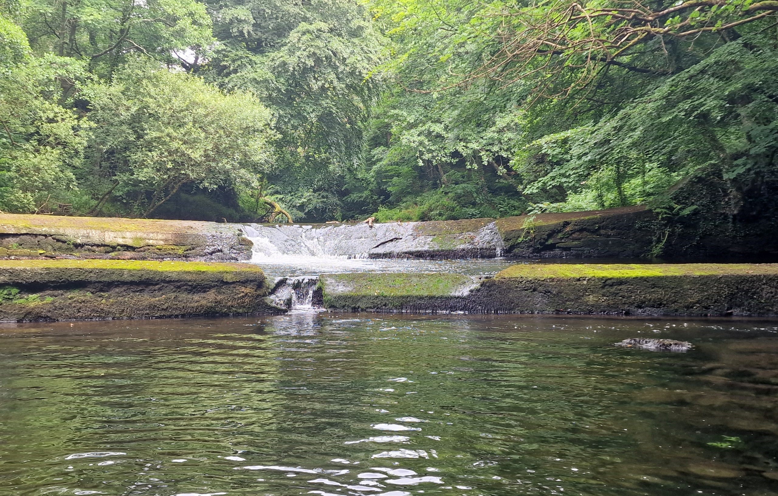 Open Rivers - Westcountry Rivers Trust