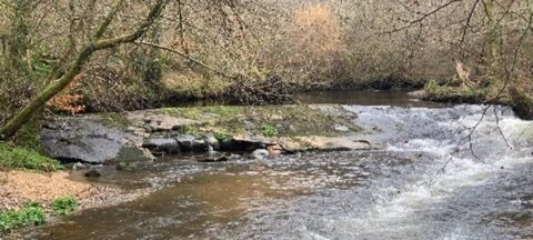 Strategic Teign Barriers - Westcountry Rivers Trust