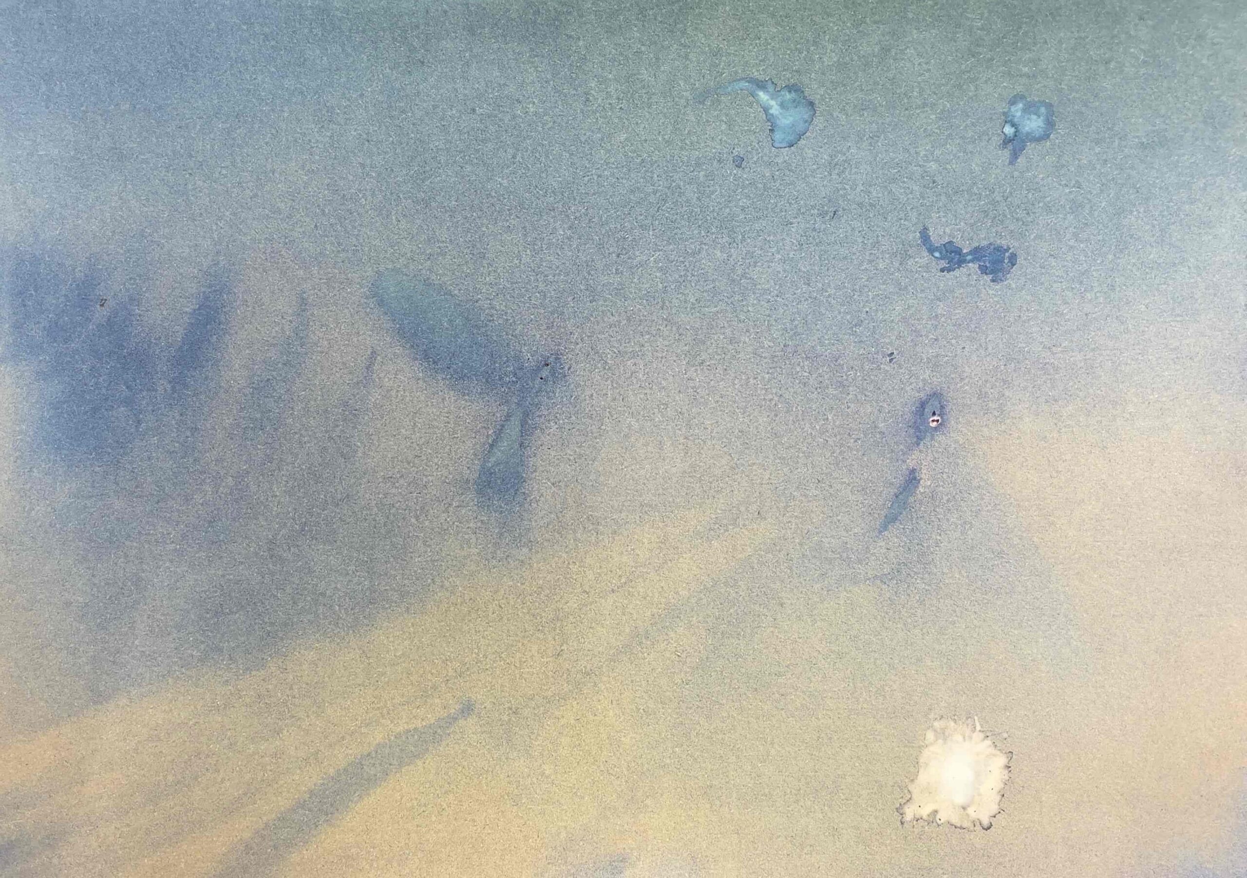 WAtER - Westcountry Rivers Trust