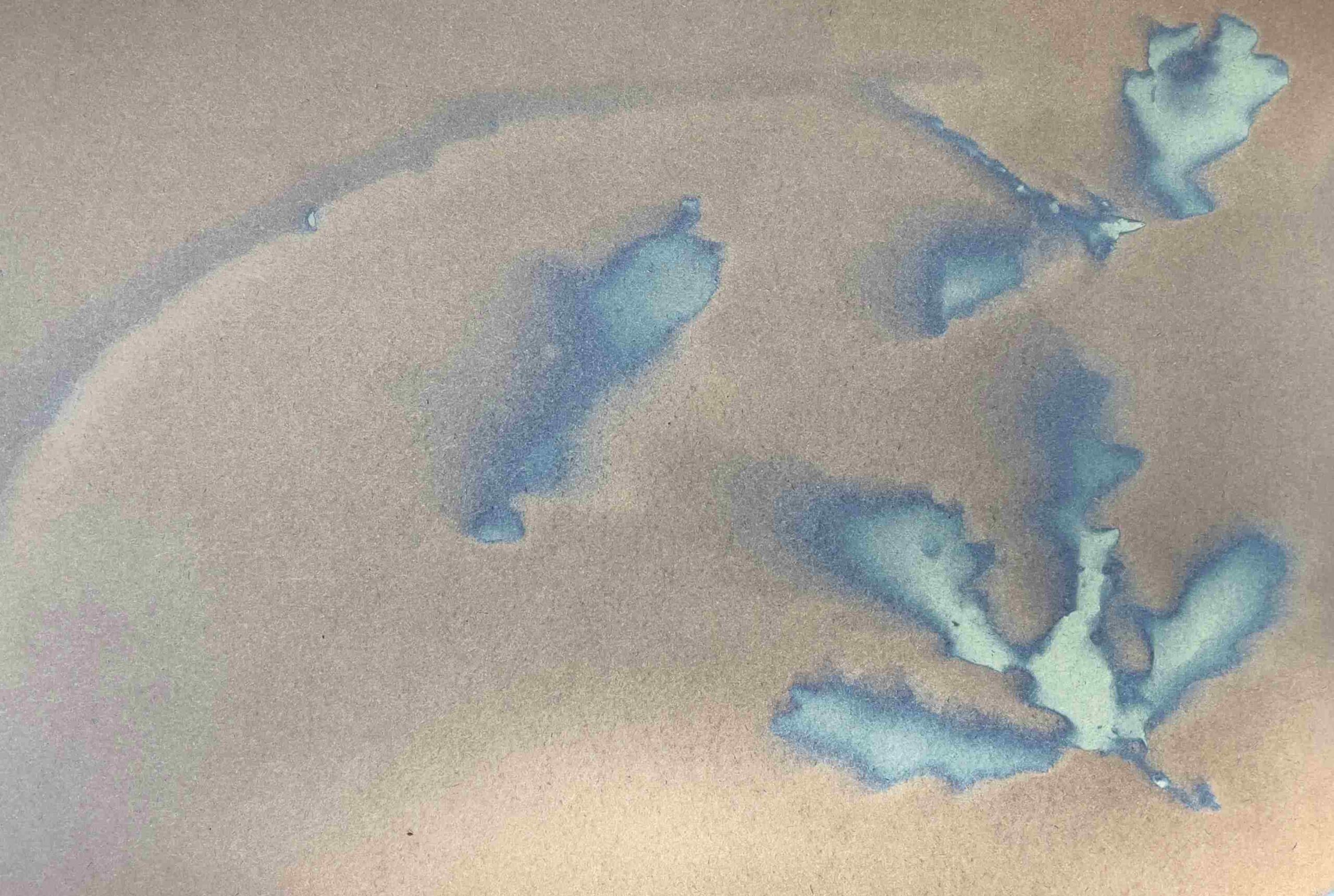 WAtER - Westcountry Rivers Trust