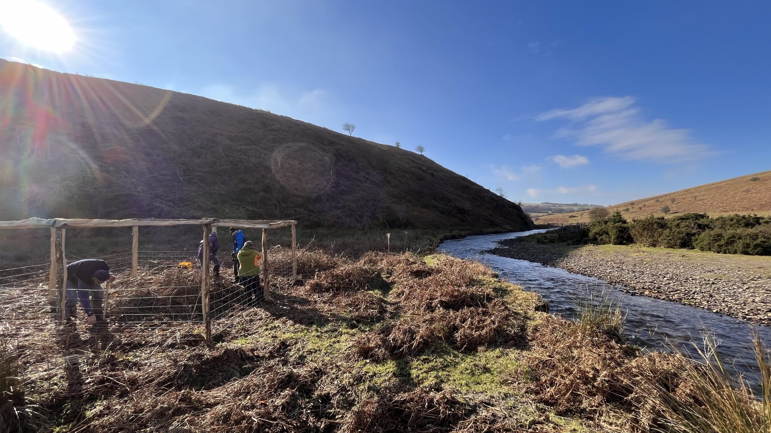 Trees for Salmon - Westcountry Rivers Trust