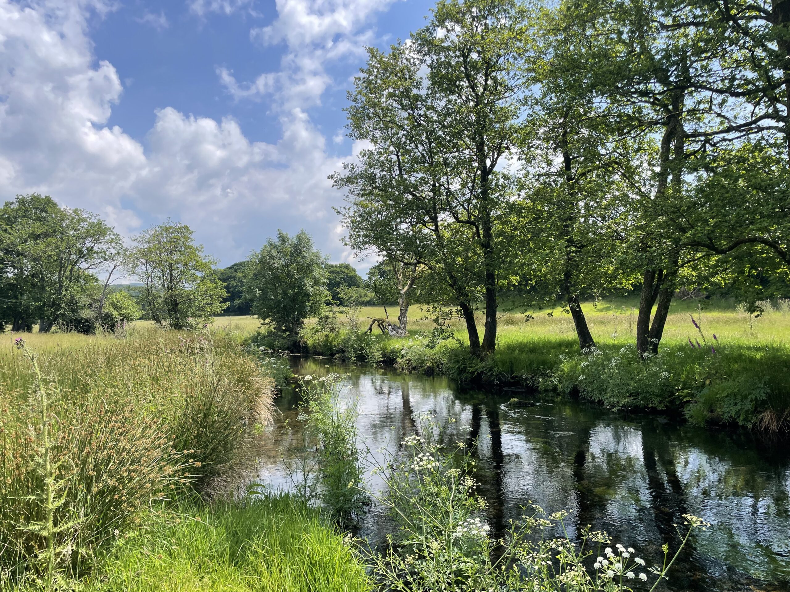 WRT Home - Westcountry Rivers Trust